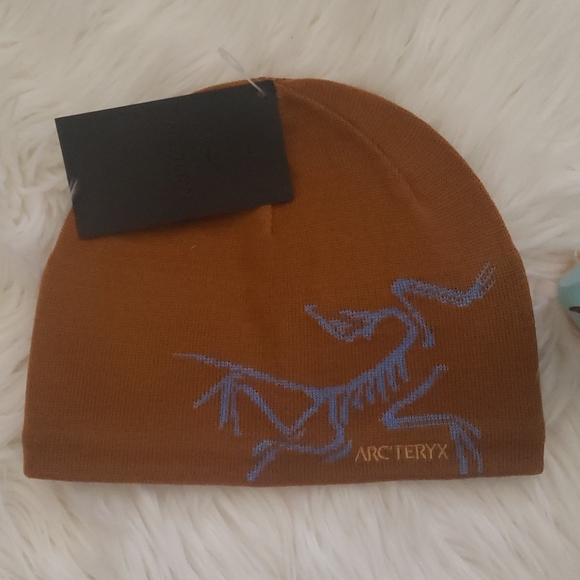 Arc'teryx | Accessories | Arcteryx Arcteryx Sundance Helix Bird Head Toque Beanie Hat | Poshmark